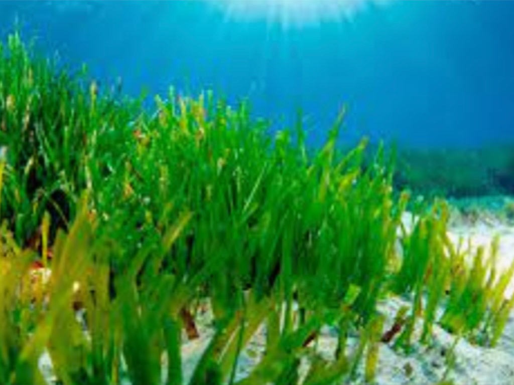 Ibiza - Segeln auf den Balearen